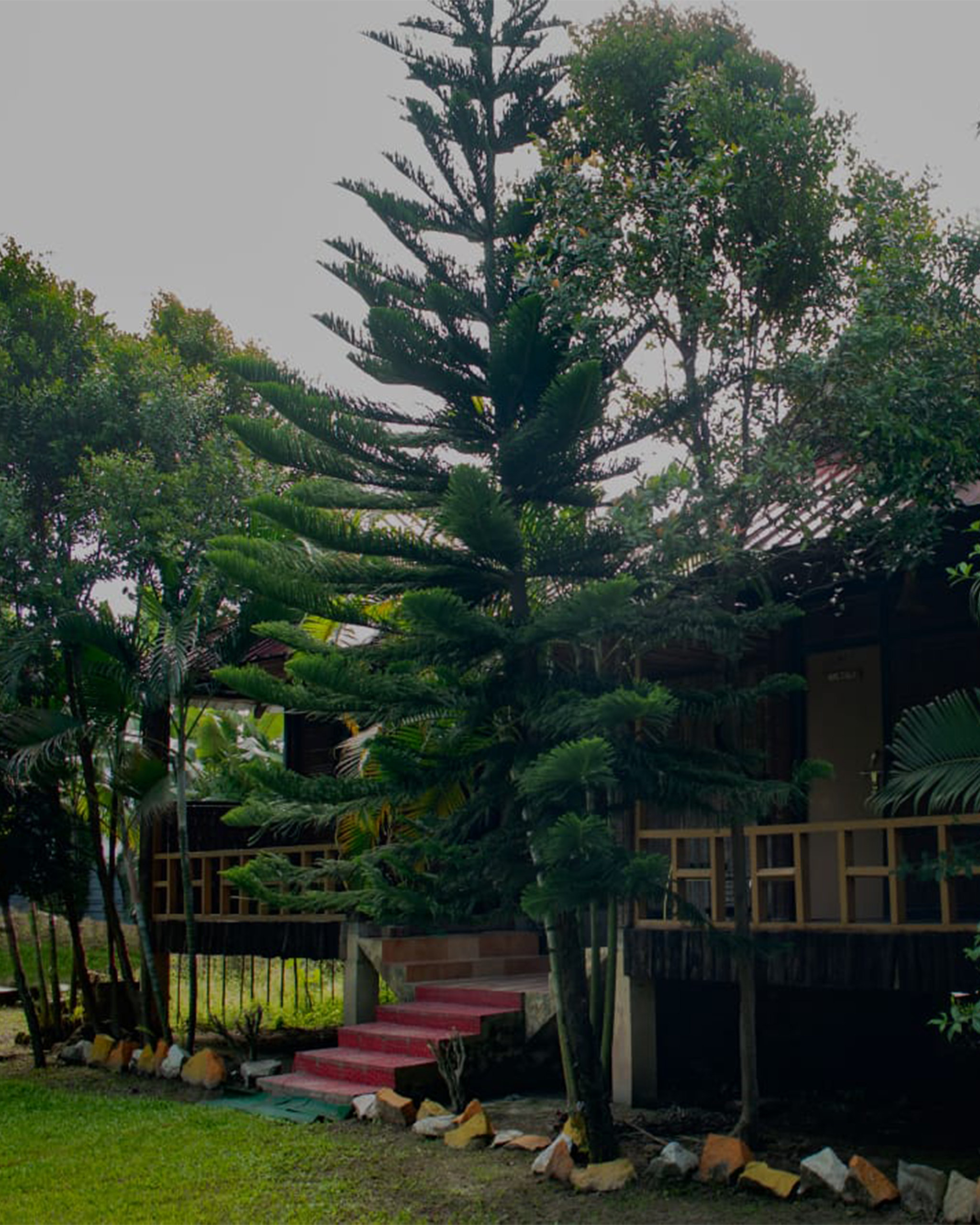 Maibong Eco Resort